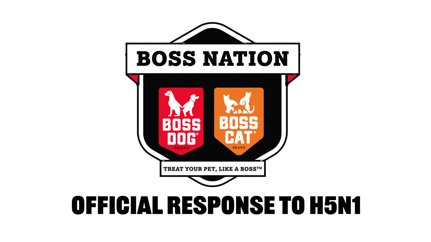 About - Boss Dog Brand Inc