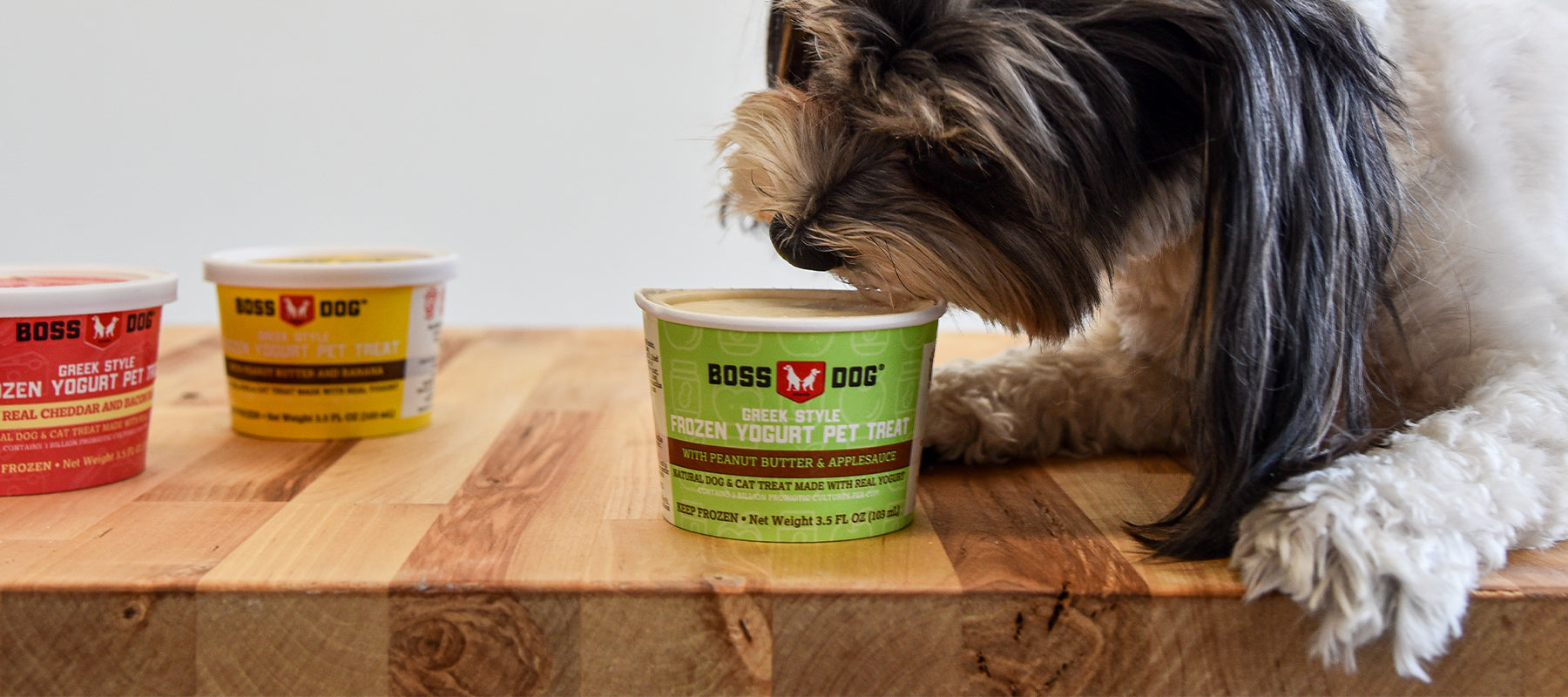 Boss Frozen - In Stores Online - Boss Dog Brand Inc