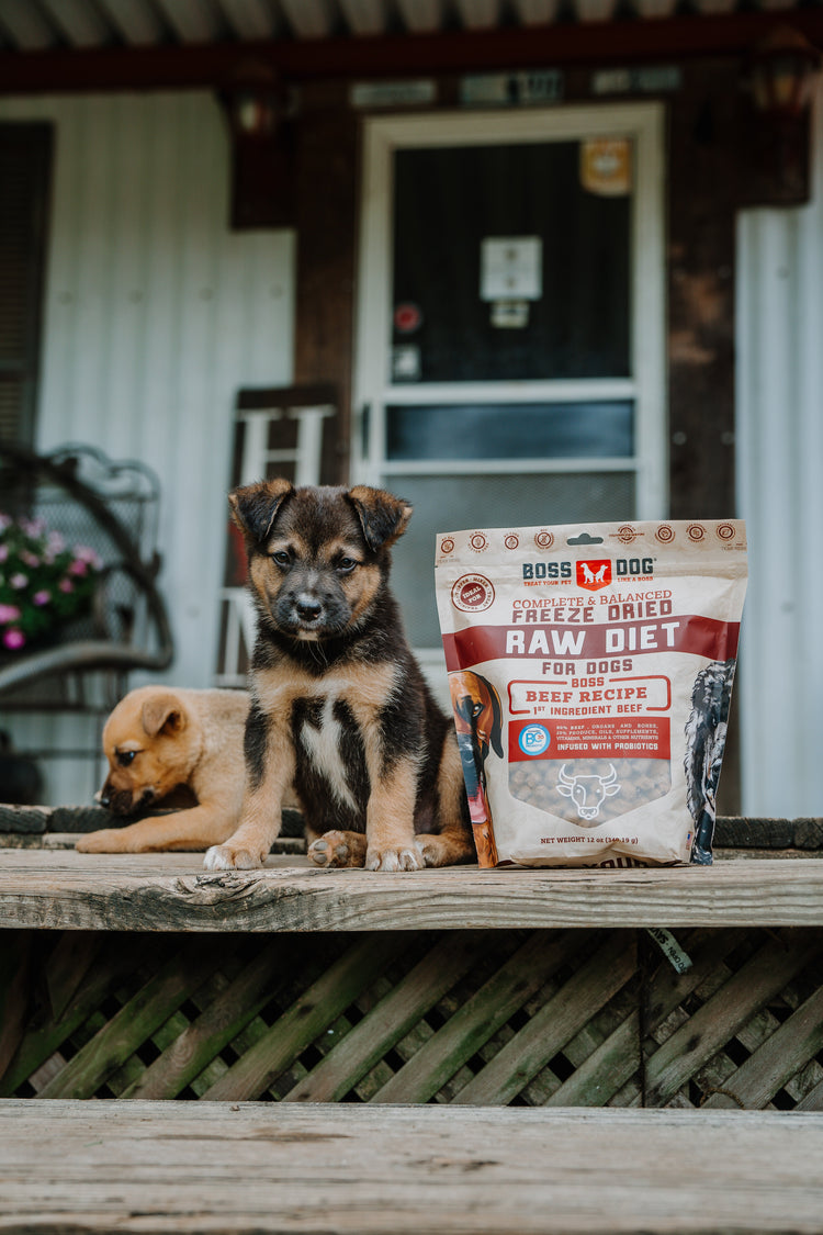 Homepage - Boss Dog Brand Inc