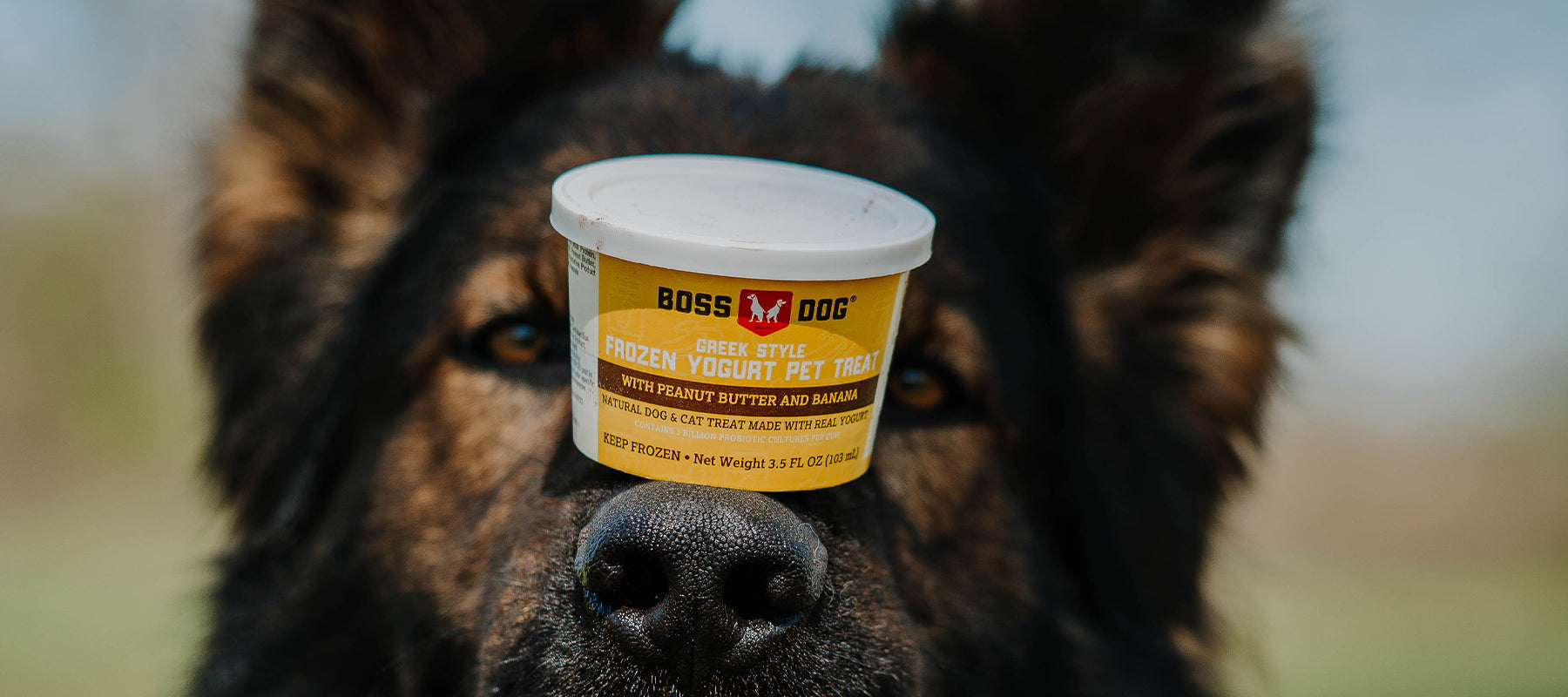 Complete Meal and Toppers for Dogs - Boss Dog Brand Inc