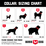 Unbreakable Collar - Boss Dog Brand Inc
