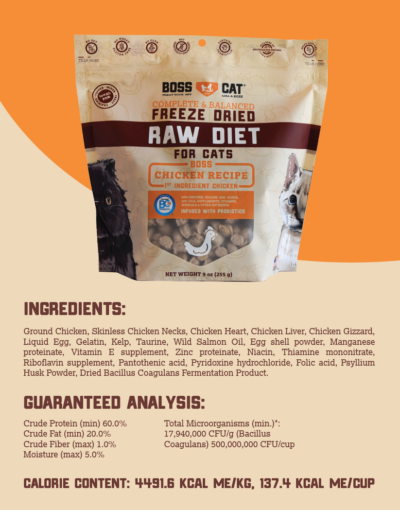 Shop Boss Cat - Boss Dog Brand Inc