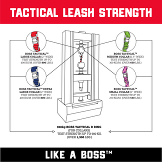 Unbreakable Collar - Boss Dog Brand Inc