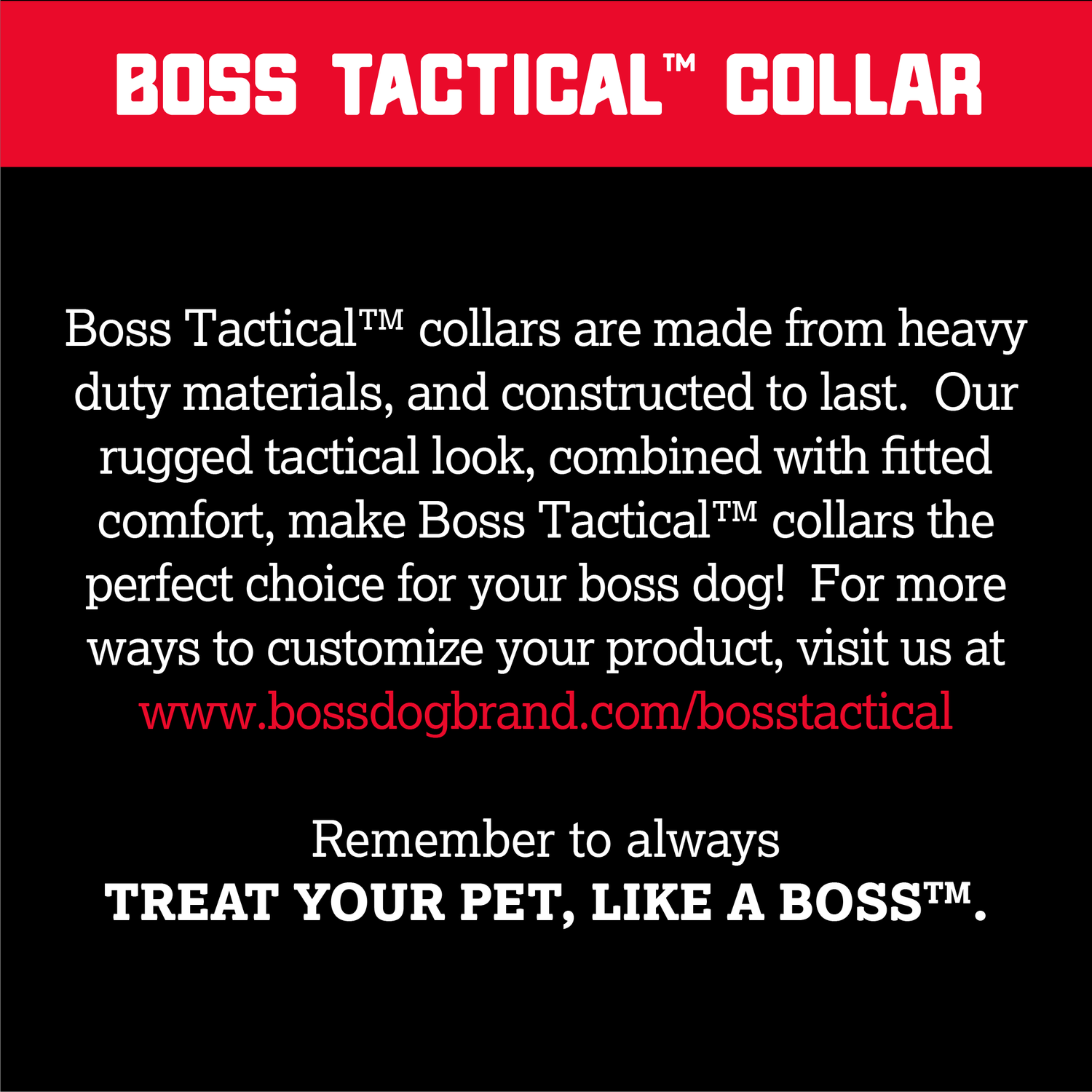 Unbreakable Collar - Boss Dog Brand Inc