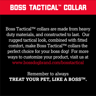 Unbreakable Collar - Boss Dog Brand Inc