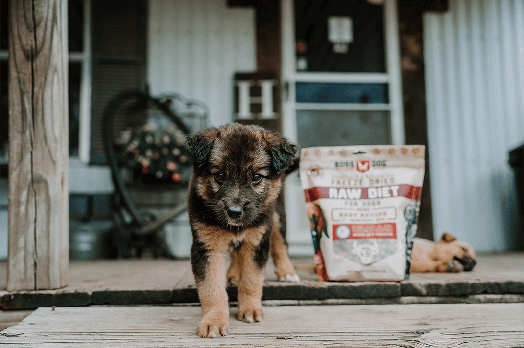 About - Boss Dog Brand Inc