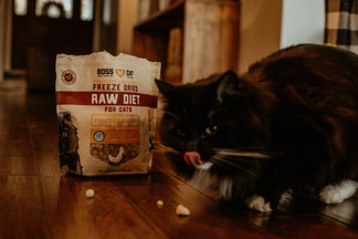 Freeze Dried Cat Food & Topper w/ Probiotics - Boss Dog Brand Inc