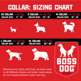 Unbreakable Collar - Boss Dog Brand Inc
