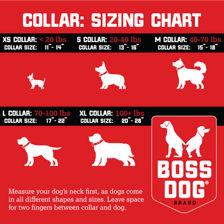 Unbreakable Collar - Boss Dog Brand Inc