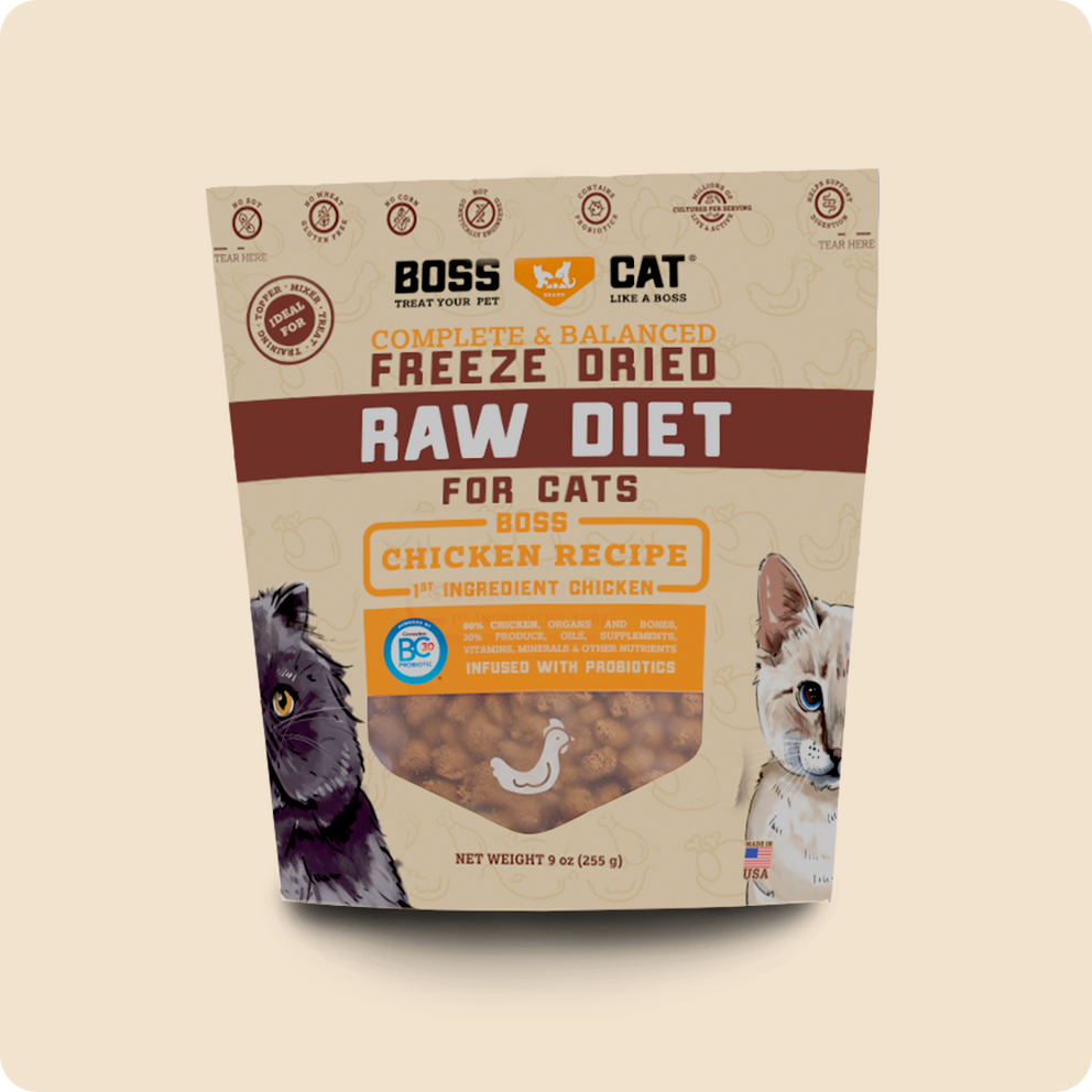 Shop Boss Cat - Boss Dog Brand Inc