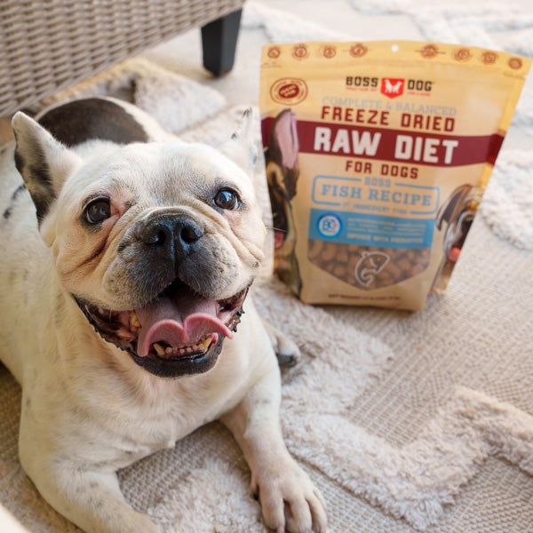 Boss Dog Brand Inc