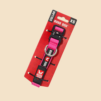 Unbreakable Collar - Boss Dog Brand Inc
