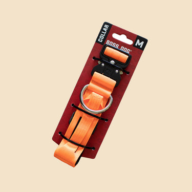 Unbreakable Collar - Boss Dog Brand Inc