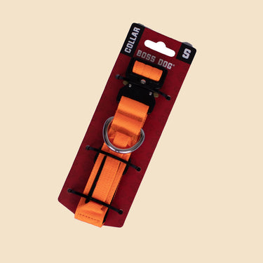 Unbreakable Collar - Boss Dog Brand Inc