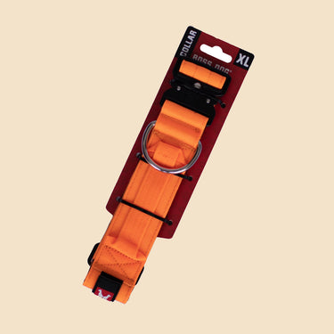 Unbreakable Collar - Boss Dog Brand Inc