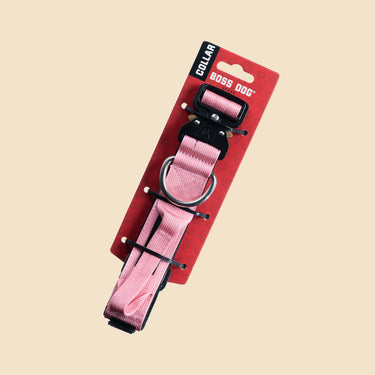 Unbreakable Collar - Boss Dog Brand Inc