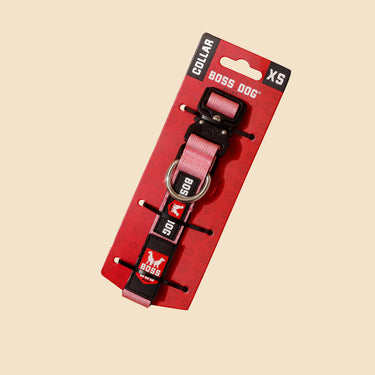 Unbreakable Collar - Boss Dog Brand Inc