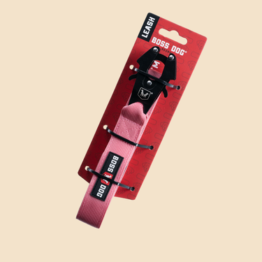 Unbreakable Leash - Boss Dog Brand Inc