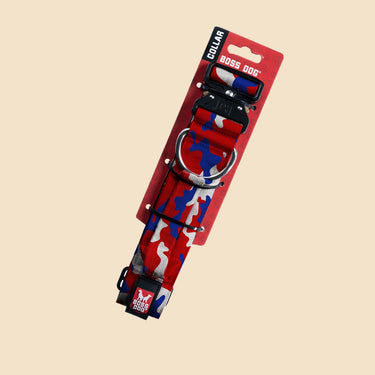 Unbreakable Collar - Boss Dog Brand Inc