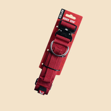 Unbreakable Collar - Boss Dog Brand Inc