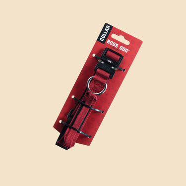 Unbreakable Collar - Boss Dog Brand Inc