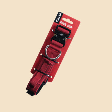 Unbreakable Collar - Boss Dog Brand Inc