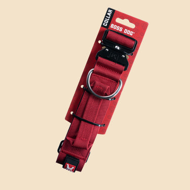 Unbreakable Collar - Boss Dog Brand Inc