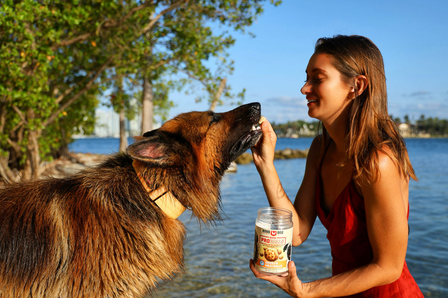 Homepage - Boss Dog Brand Inc